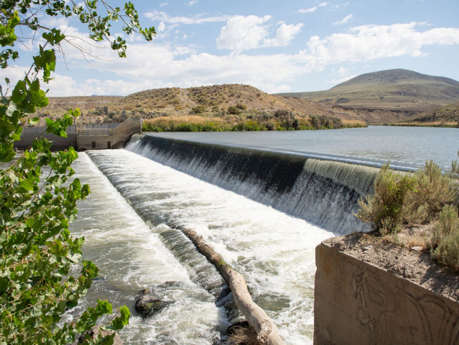 Dam bypass to open endangered Northern Nevada fish spawning grounds cut ...