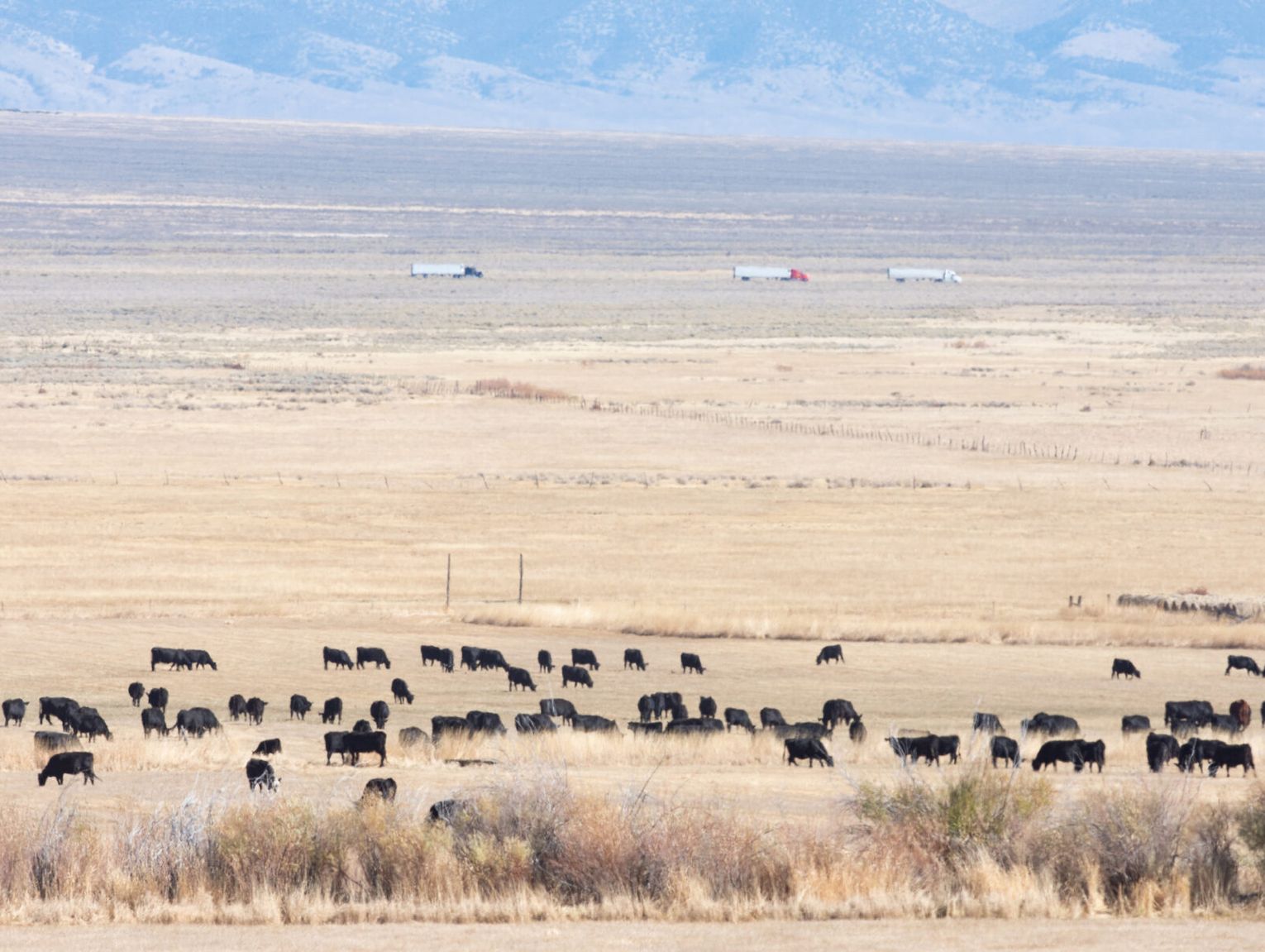 Utah’s bid for control of federal land gets support from Elko commissioners